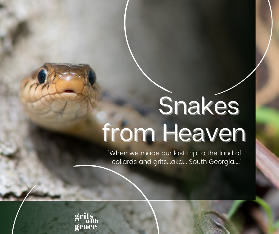 Snakes from Heaven – Grits with Grace
