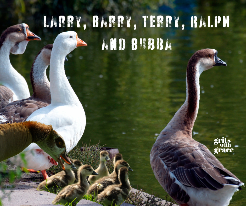 Larry, Barry, Harry, Terry, Ralph, and Bubba – Grits with Grace
