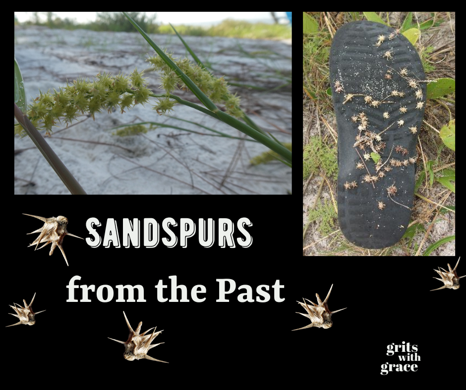 Sand Spurs from the Past – Grits with Grace