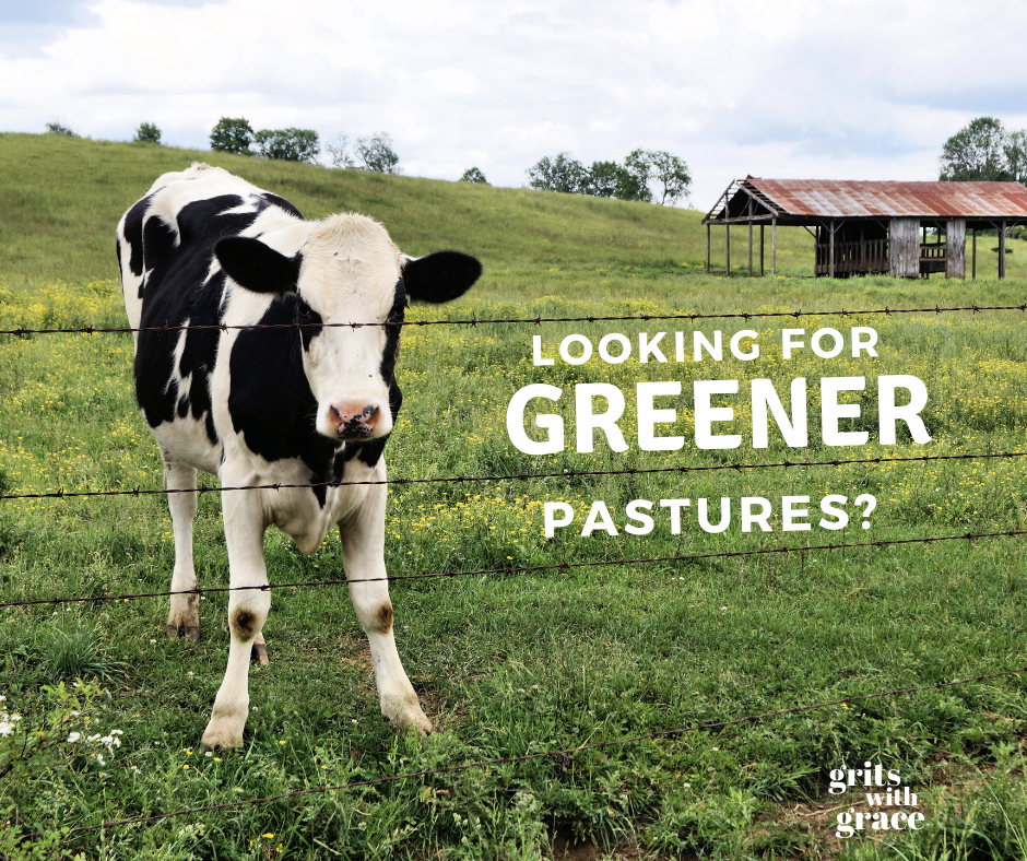 Looking for Greener Pastures – Grits with Grace