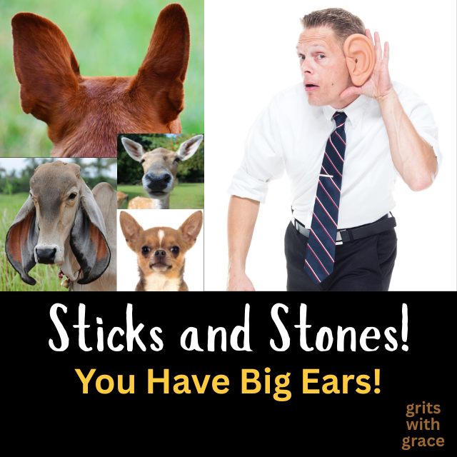 You Have Big Ears – Grits with Grace